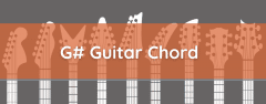 G# Chord, How to Play G Sharp Major Chord on Guitar - Music Grotto